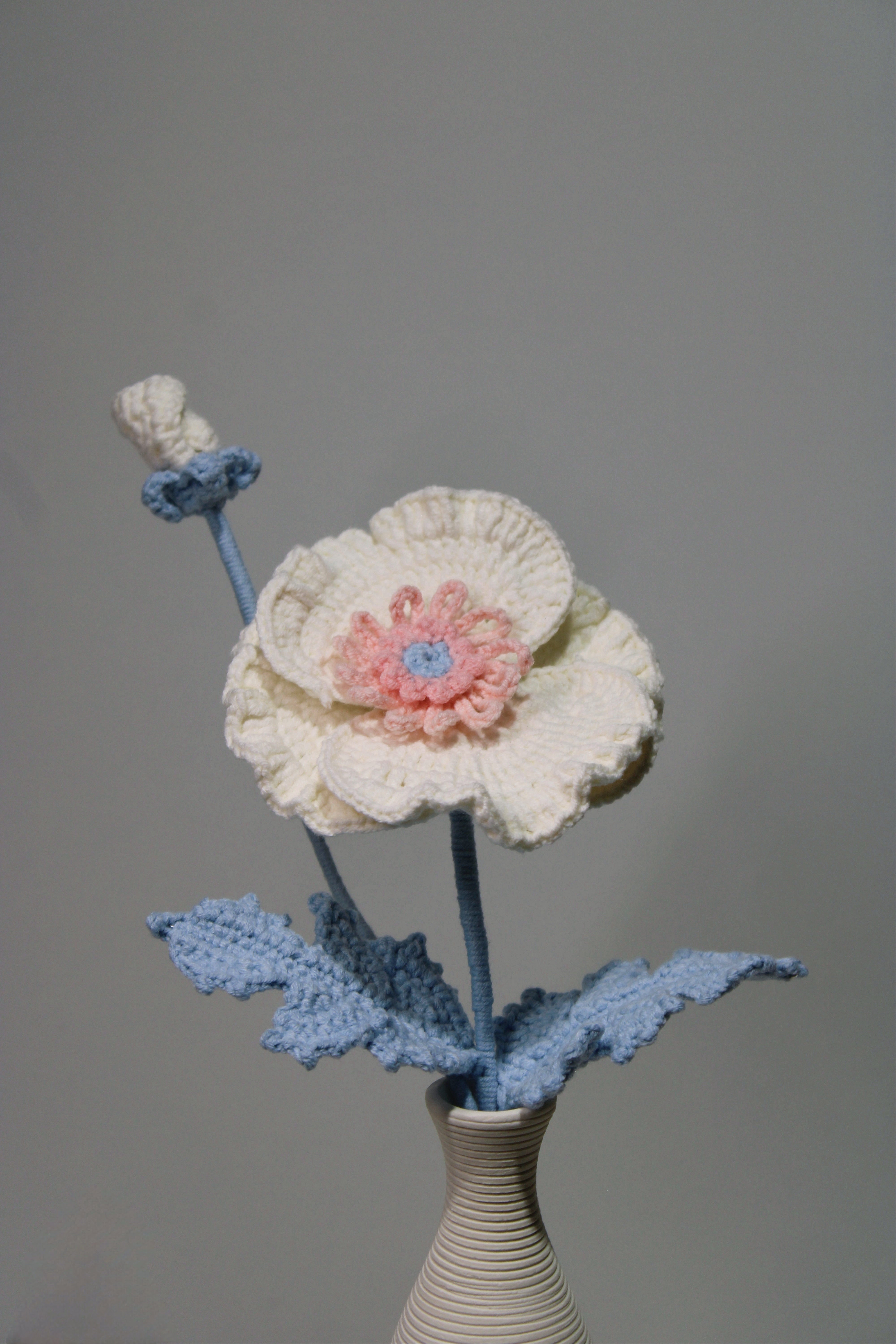 Corn Poppy | Corn Rose – Amati E La Candela